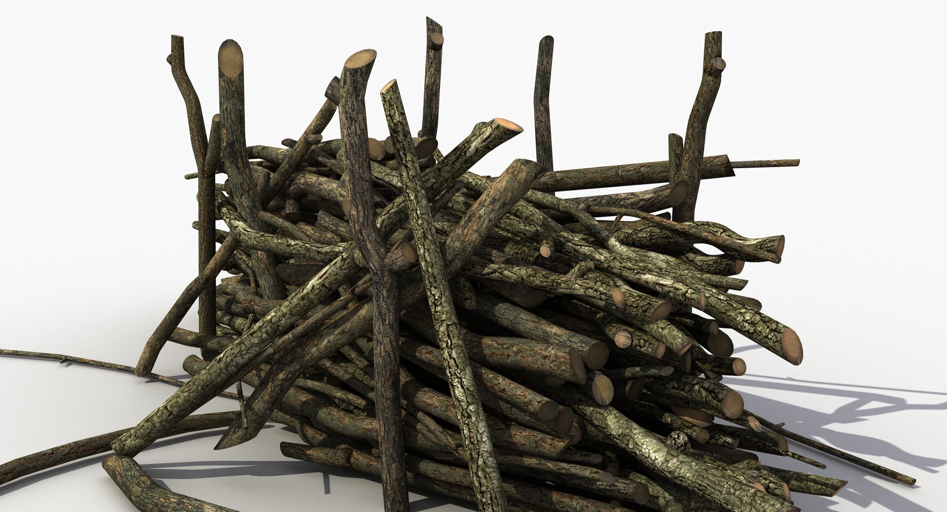 Debris Twigs Model - TurboSquid 1311894