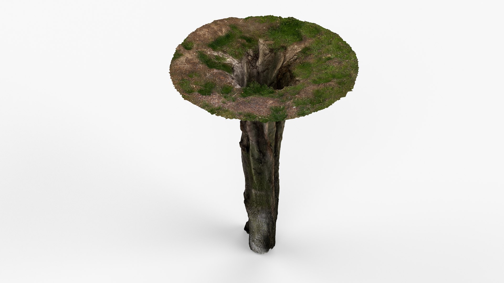 Photorealistic 3D Scan Of Tree Trunk Model - TurboSquid 2398631