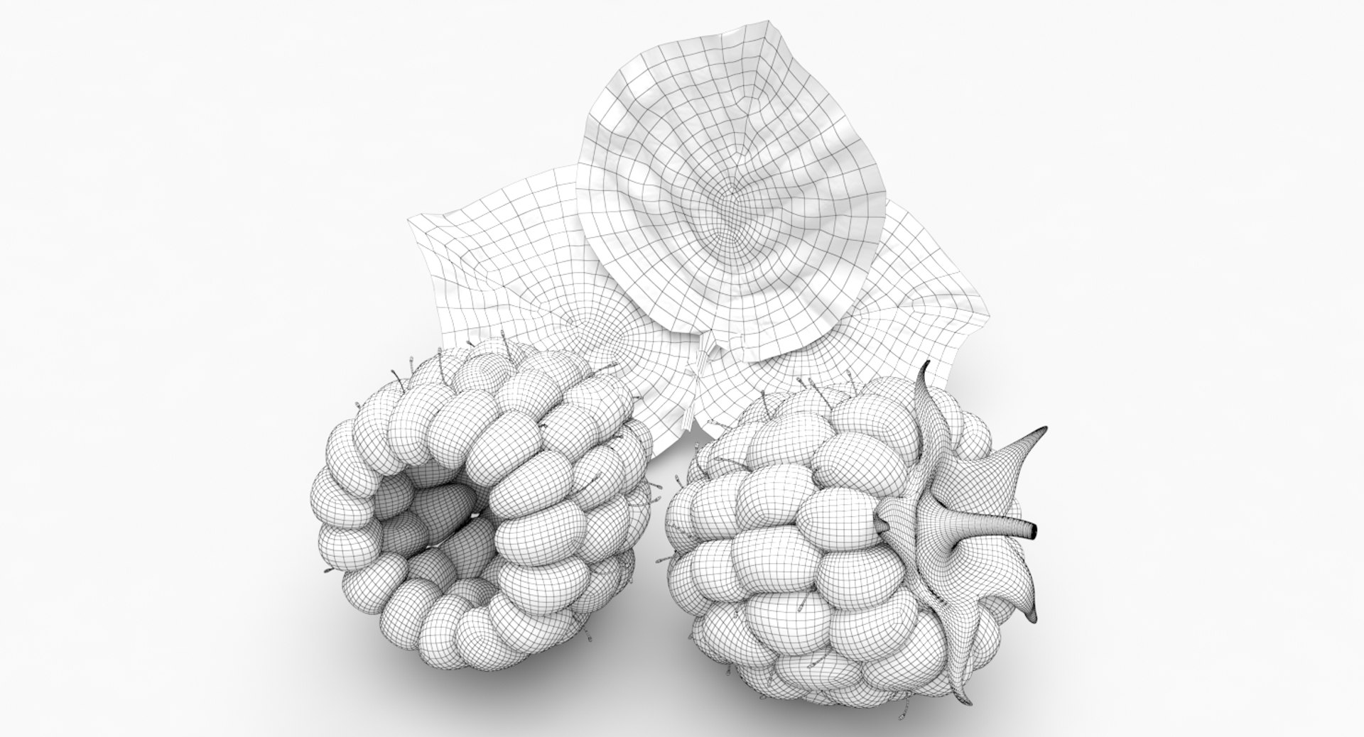 Raspberry Fruit Model - TurboSquid 1297097