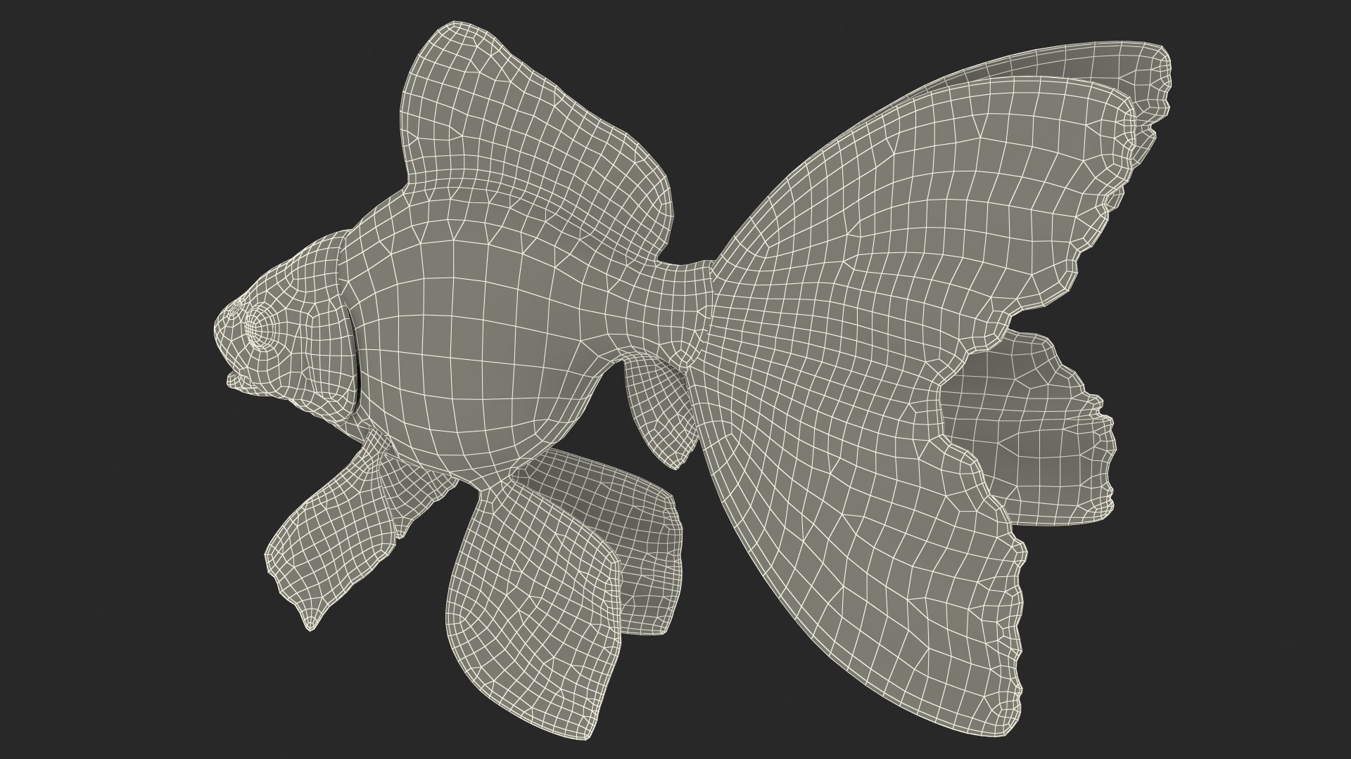 3D Model Orange Fancy Fantail Goldfish - TurboSquid 1765750