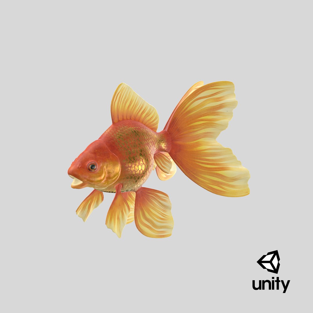 3D Model Orange Fancy Fantail Goldfish - TurboSquid 1765750