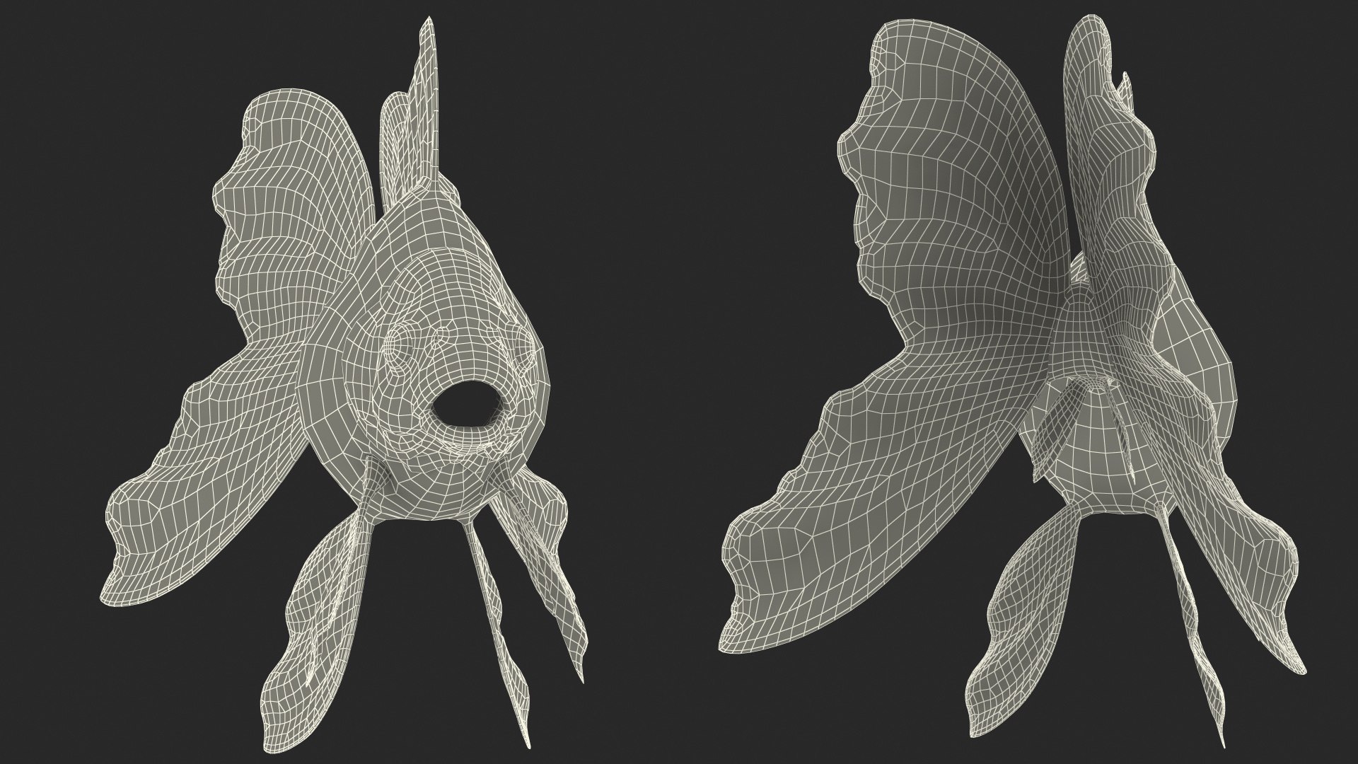 3D Model Orange Fancy Fantail Goldfish - TurboSquid 1765750