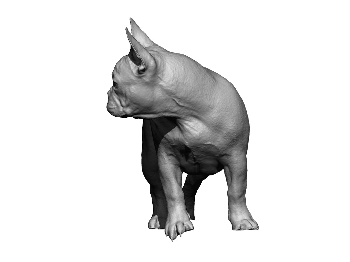 Dog Scanned Photogrammetry 3D Model - TurboSquid 1349107