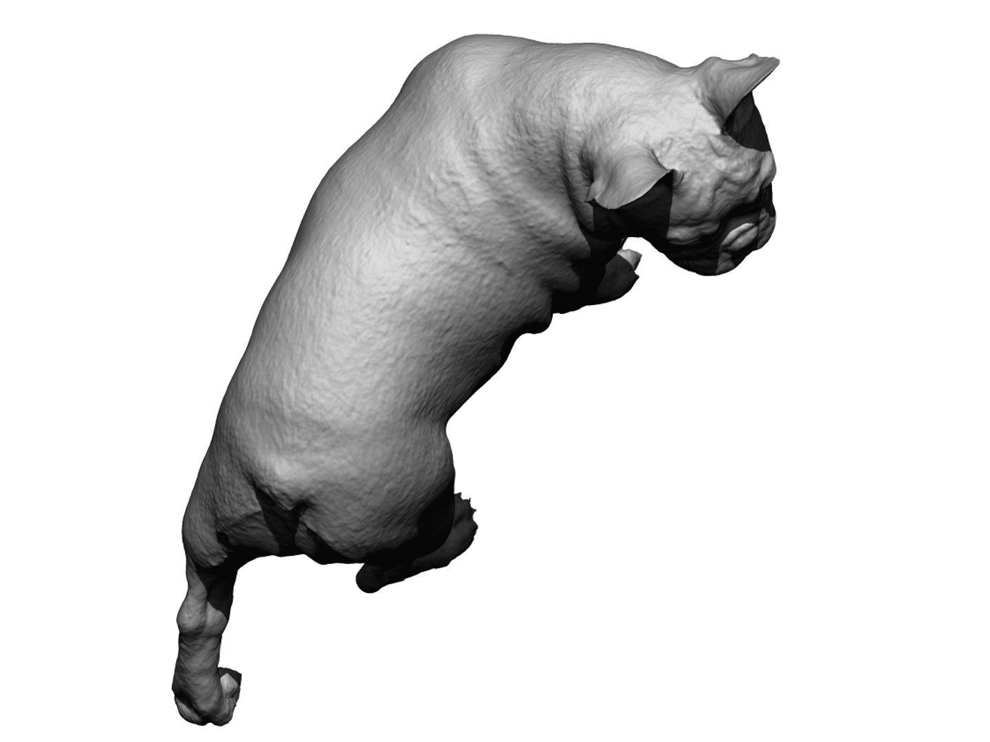 Dog Scanned Photogrammetry 3D Model - TurboSquid 1349107
