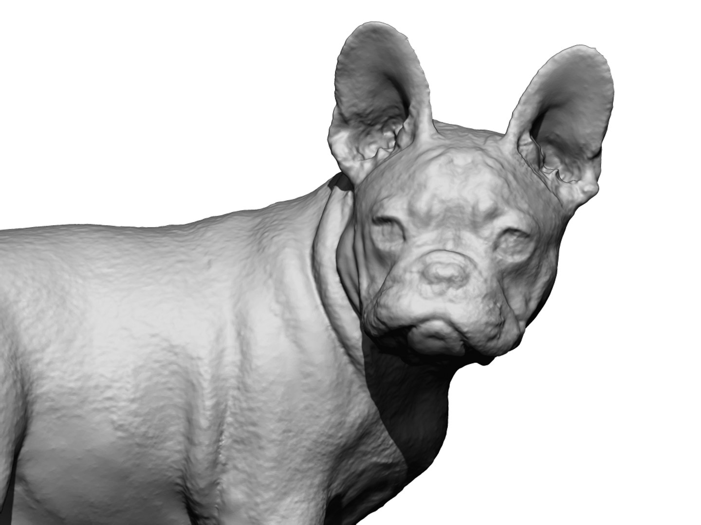 Dog Scanned Photogrammetry 3D Model - TurboSquid 1349107