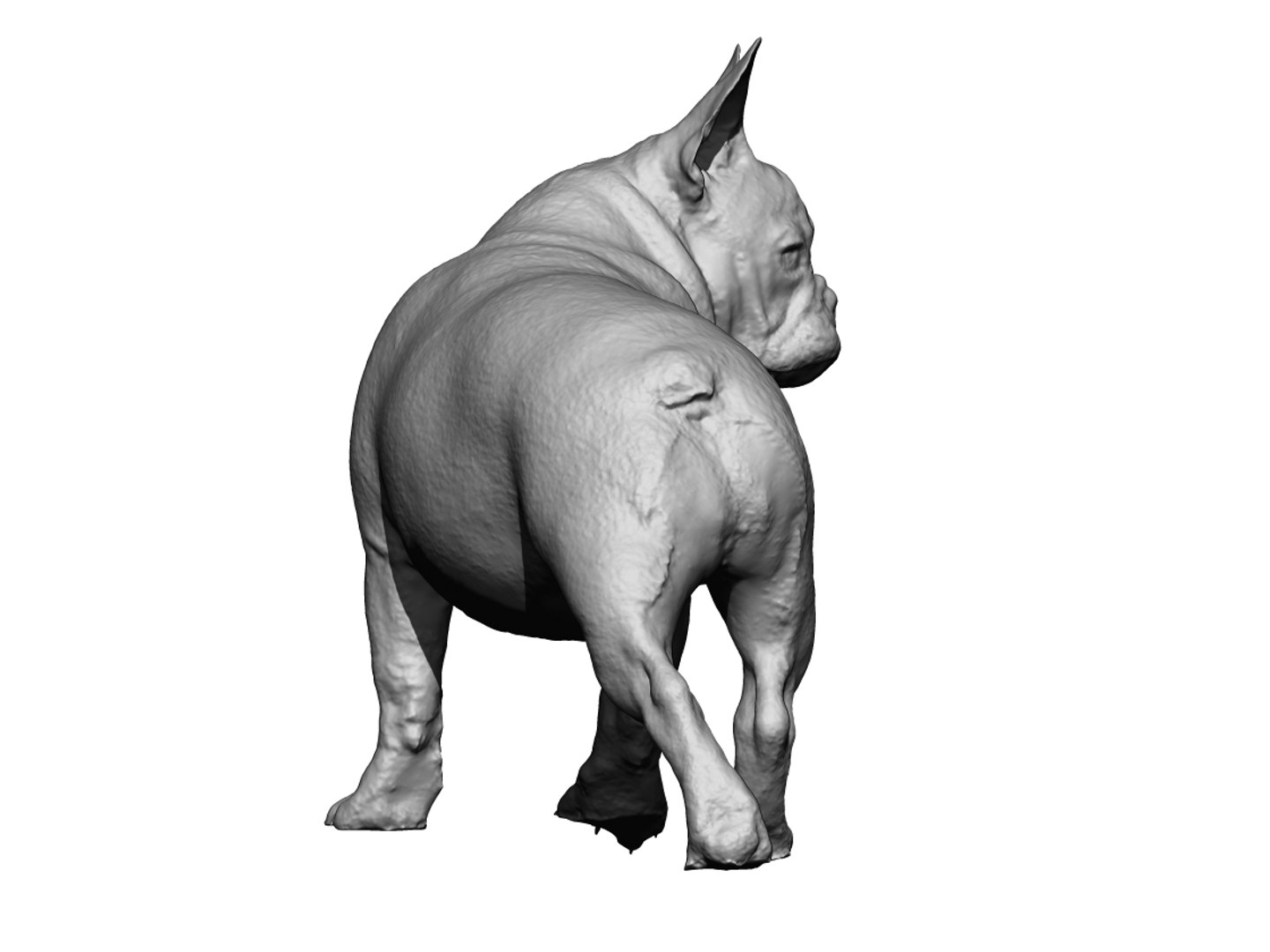 Dog Scanned Photogrammetry 3D Model - TurboSquid 1349107