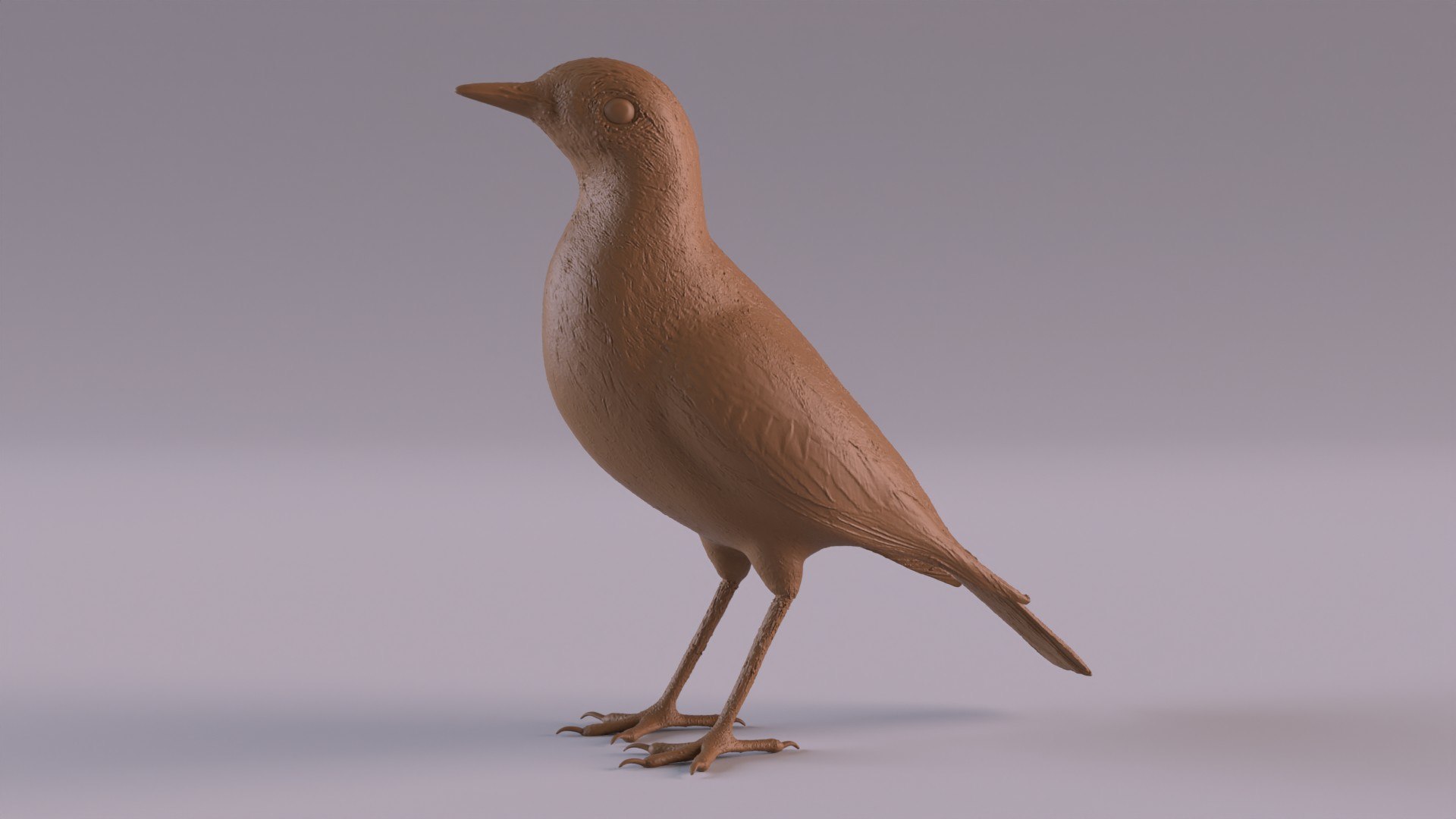 Pipit 3D - TurboSquid 2415177