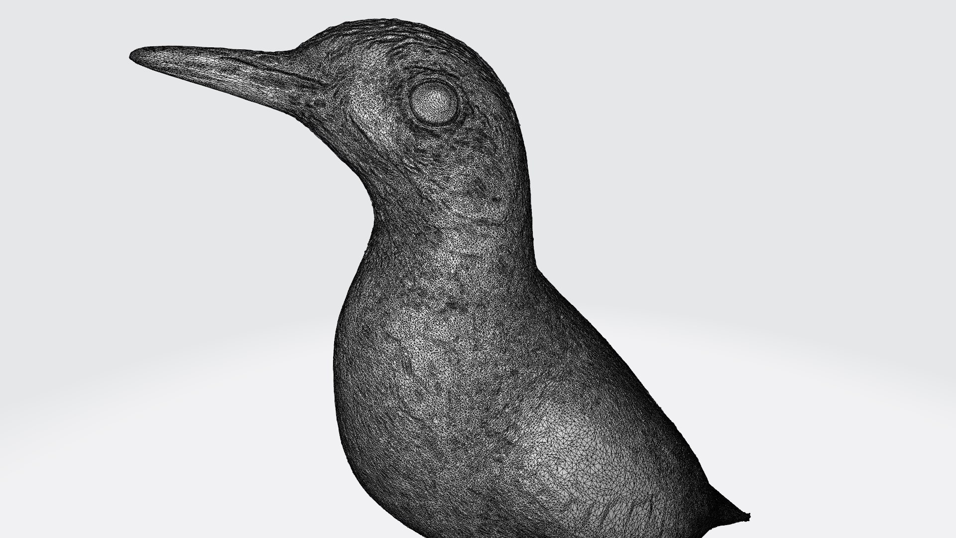 Pipit 3D - TurboSquid 2415177