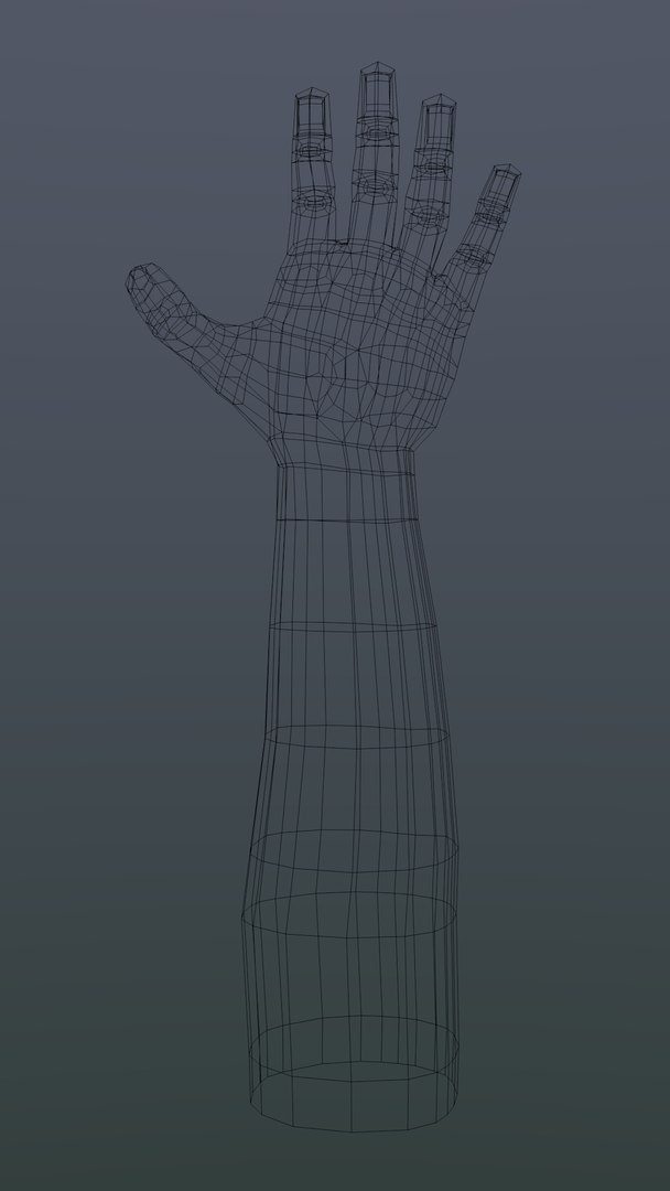 Hand Arm Rig 3d Model