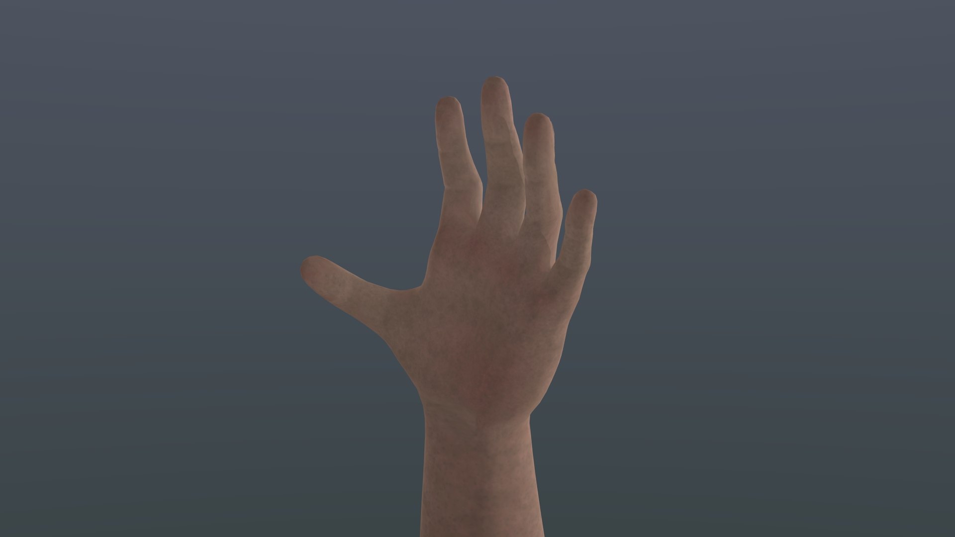 Hand Arm Rig 3d Model
