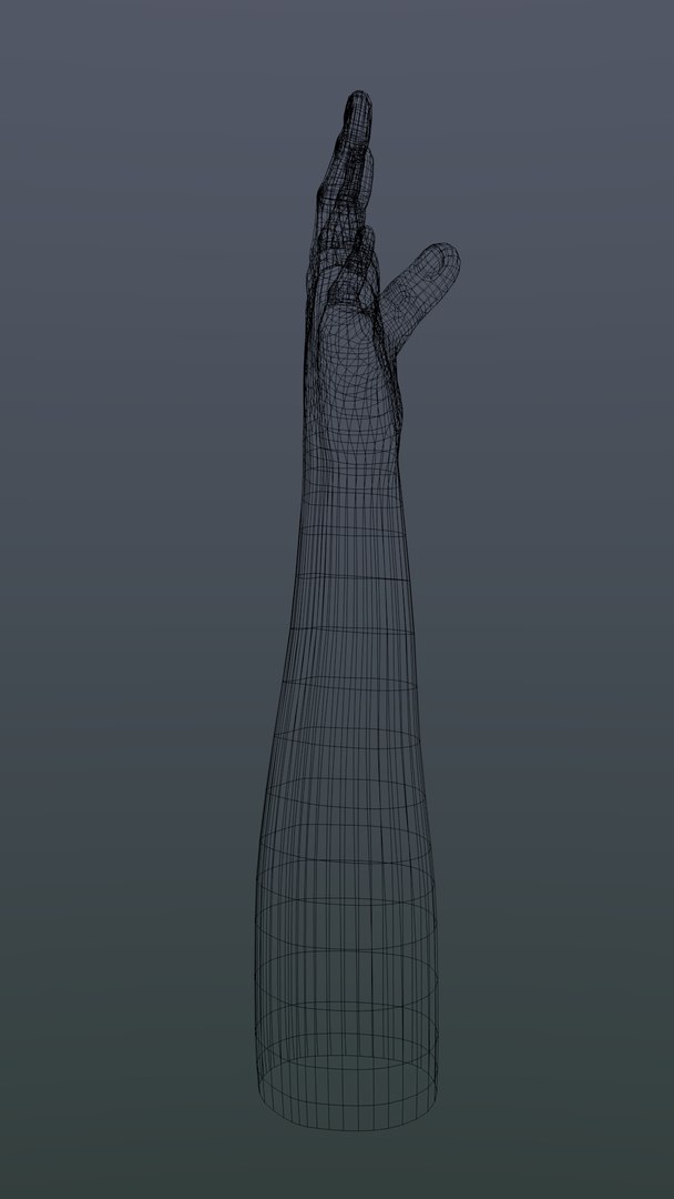 Hand Arm Rig 3d Model