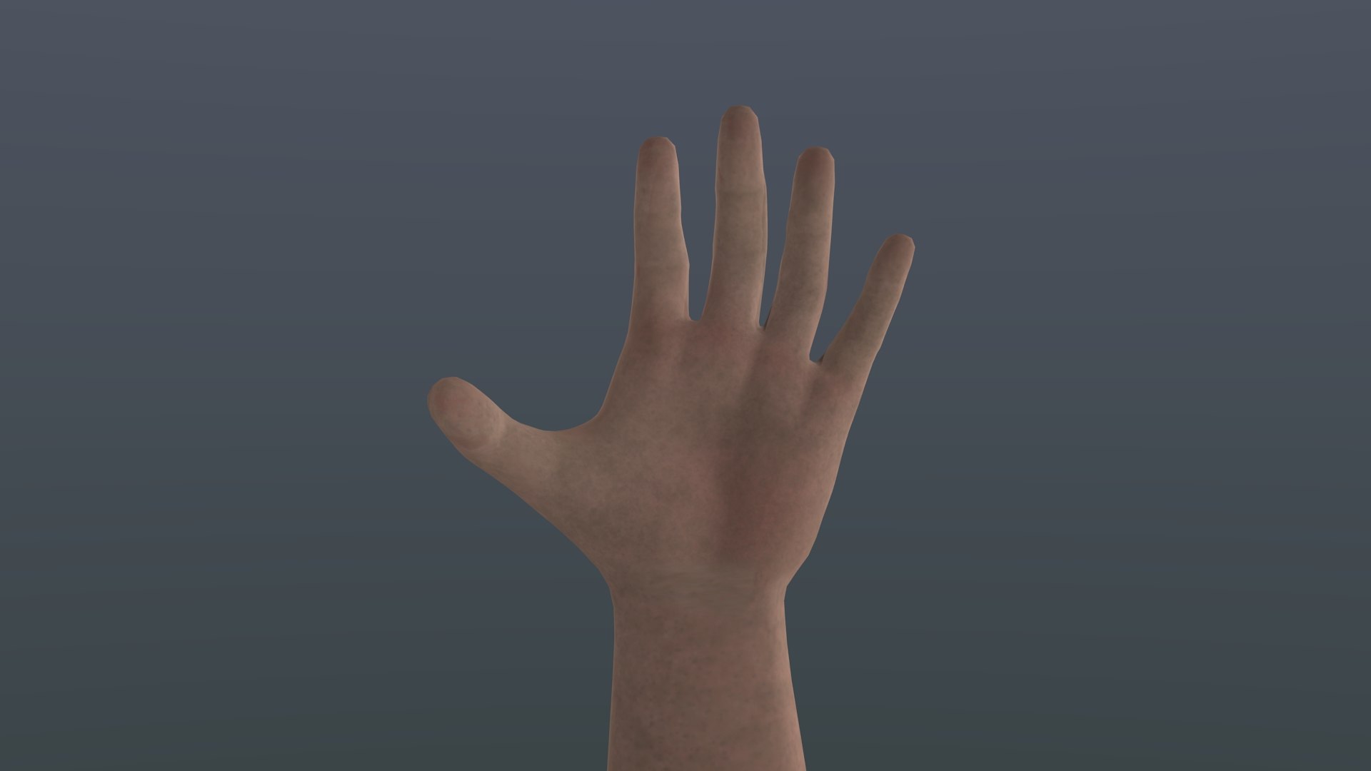 Hand Arm Rig 3d Model