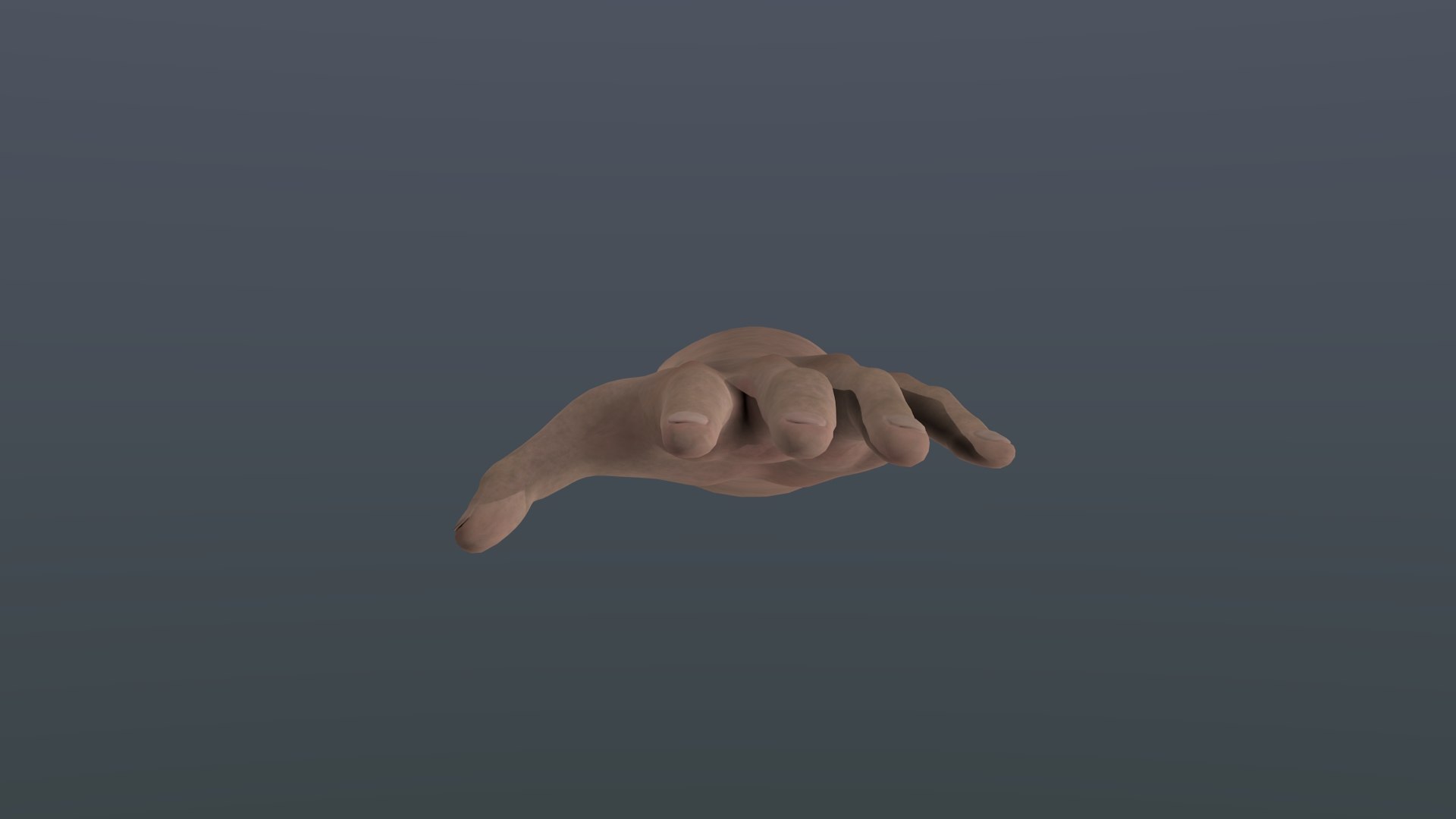 Hand Arm Rig 3d Model