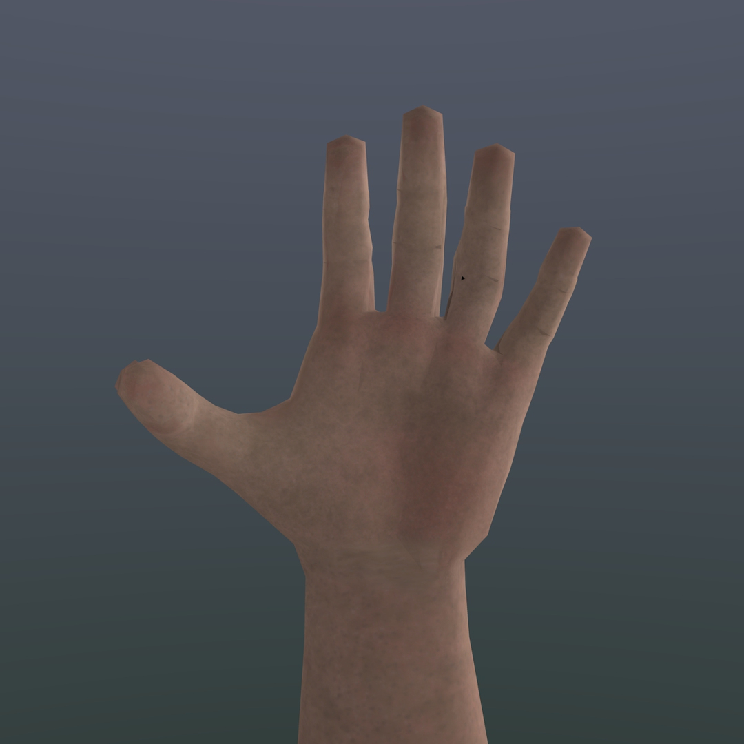 Hand Arm Rig 3d Model