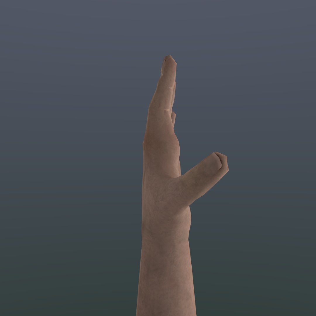 Hand Arm Rig 3d Model
