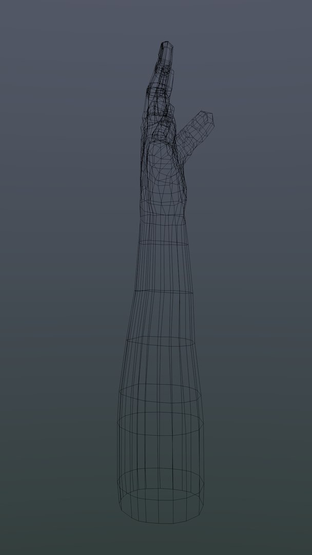 Hand Arm Rig 3d Model