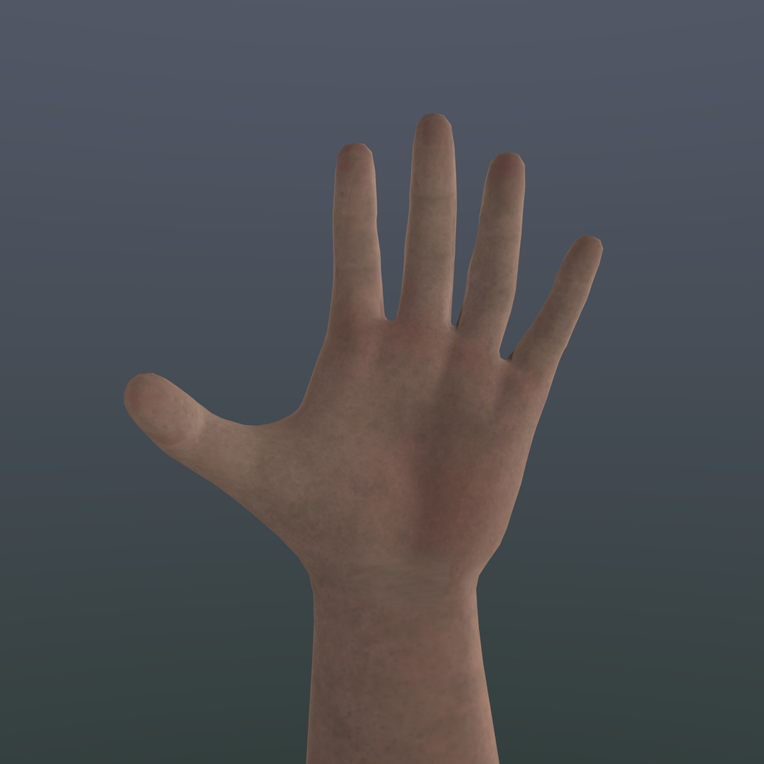 Hand Arm Rig 3d Model