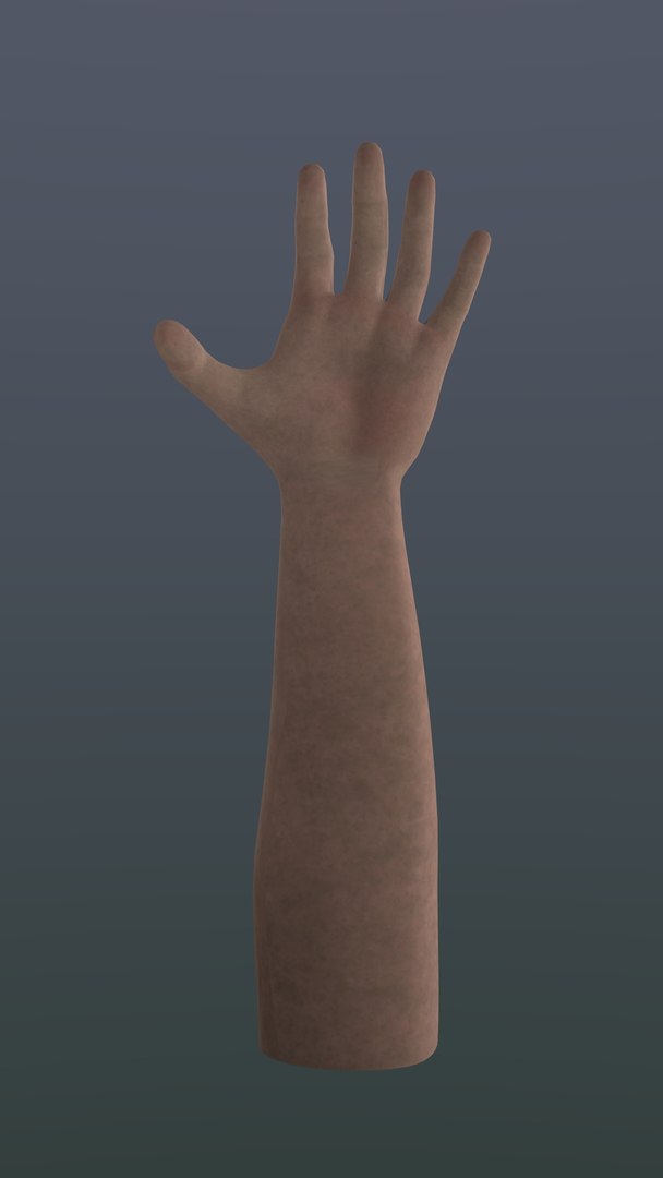 Hand Arm Rig 3d Model