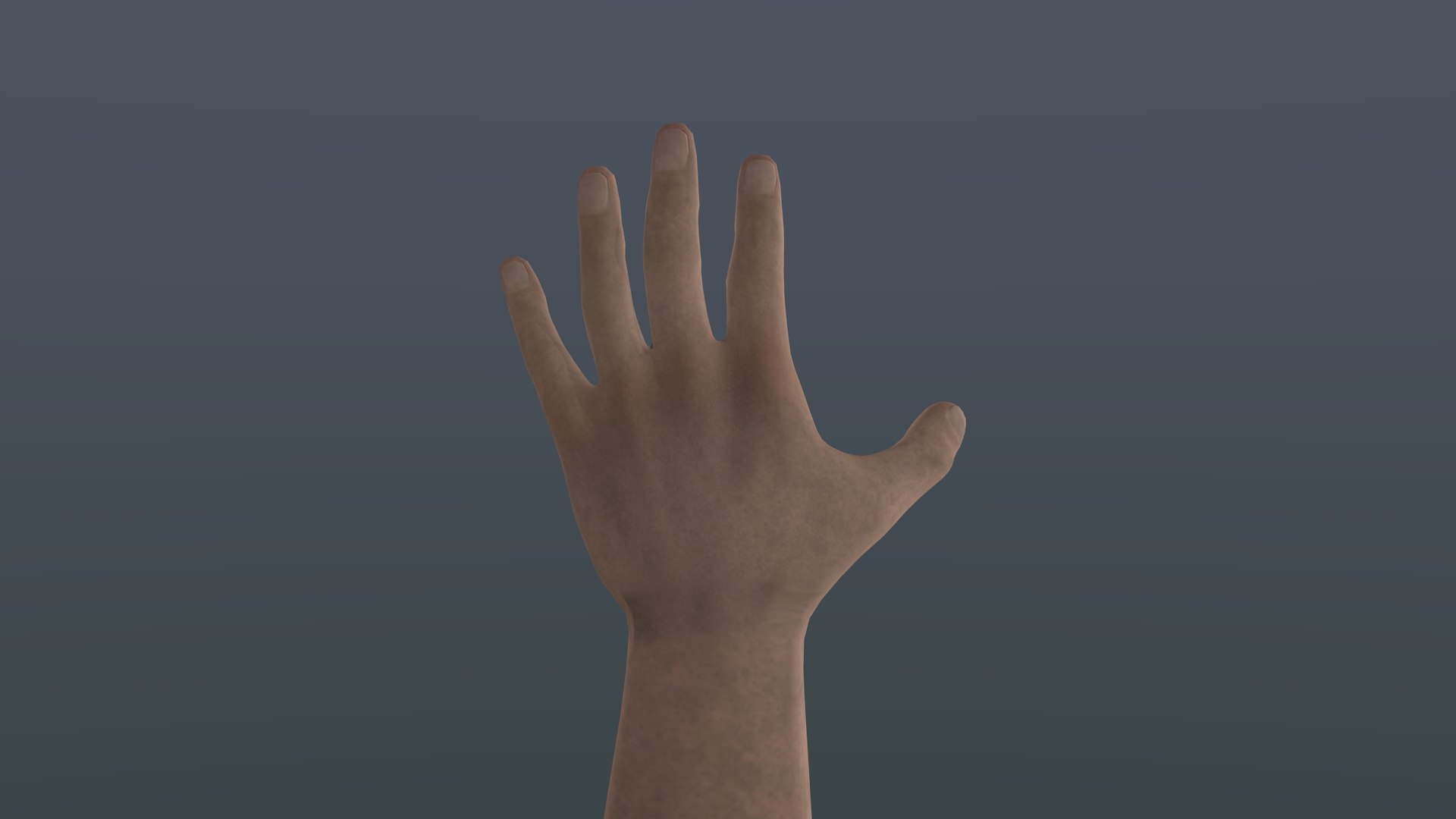 Hand Arm Rig 3d Model