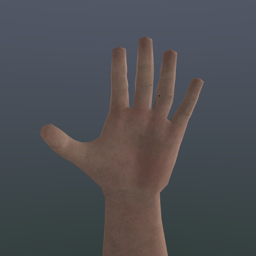 Hand Arm Rig 3d Model