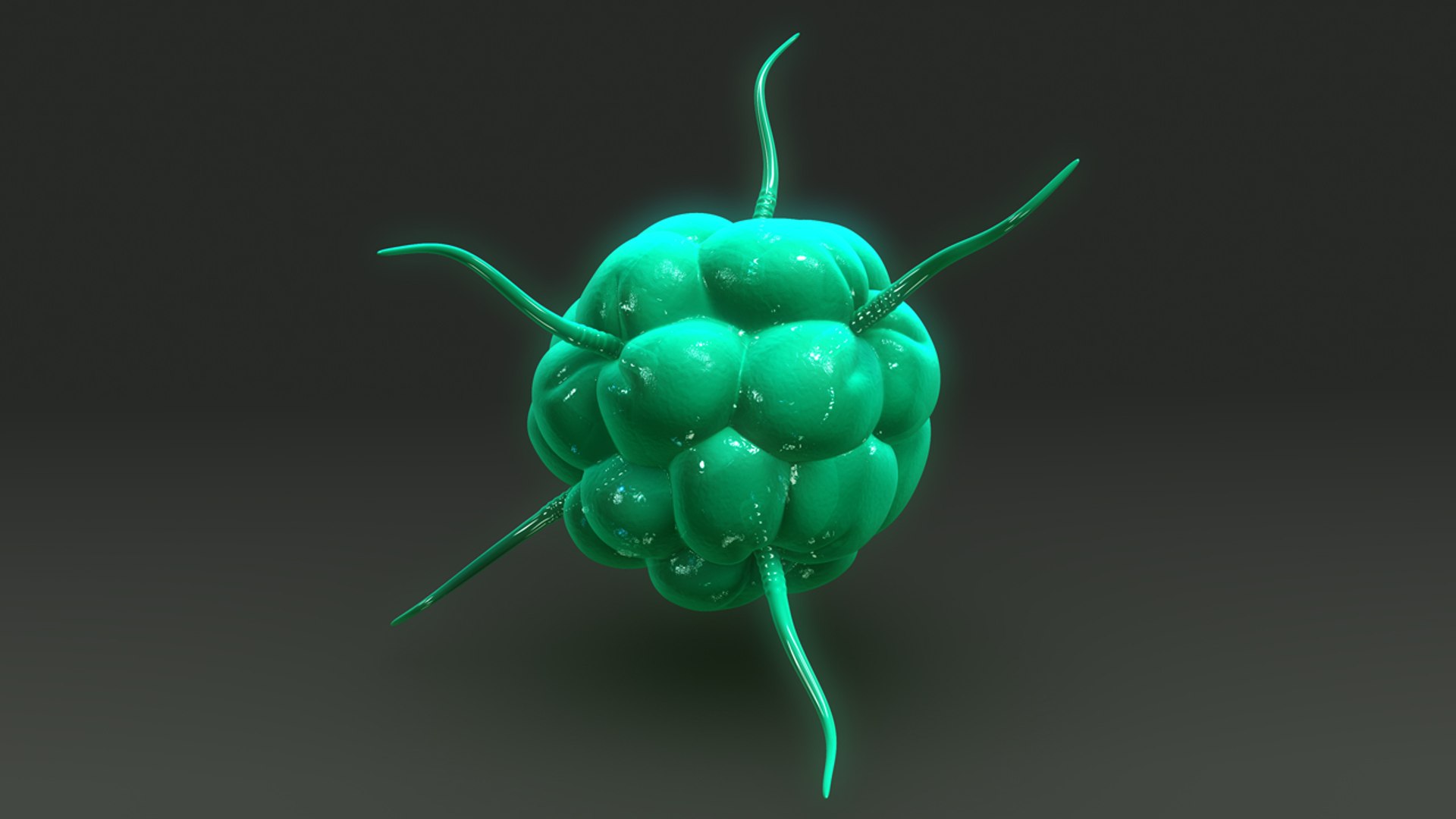 3d Model Macrophage Macro
