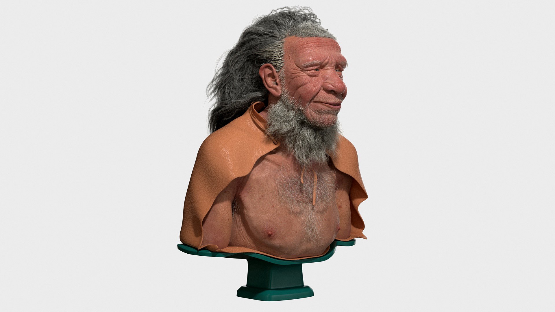 Neanderthal Bust 3D Model - TurboSquid 1568539