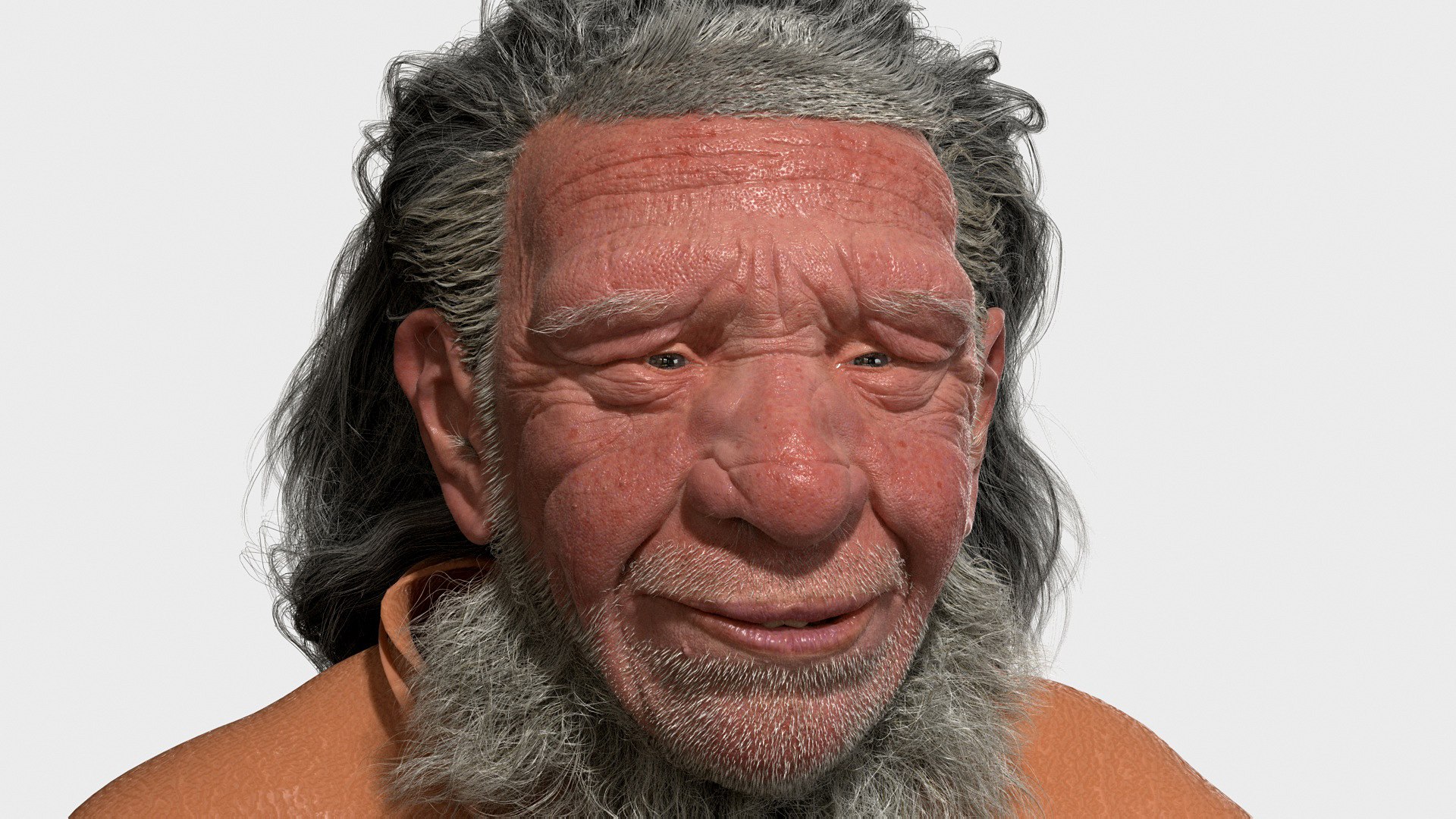 Neanderthal Bust 3D Model - TurboSquid 1568539