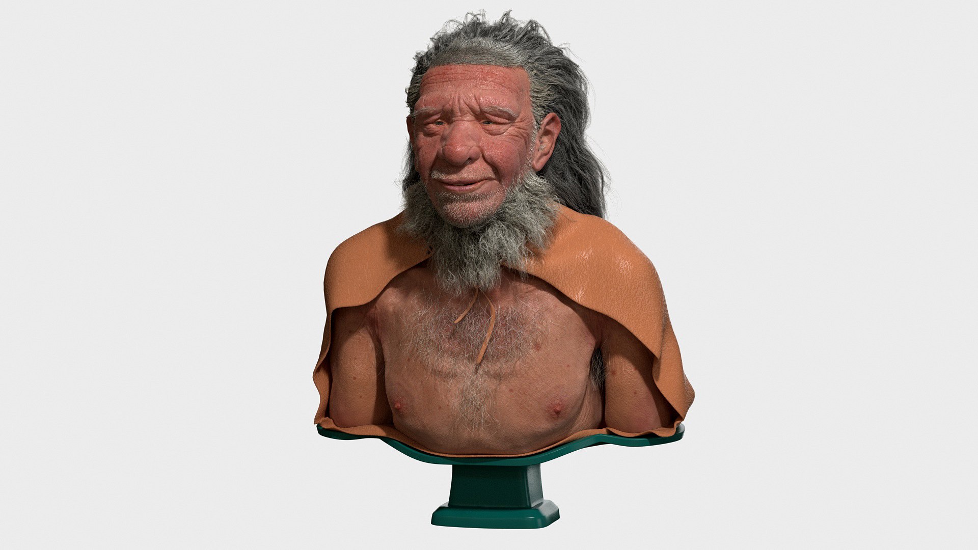 Neanderthal Bust 3D Model - TurboSquid 1568539