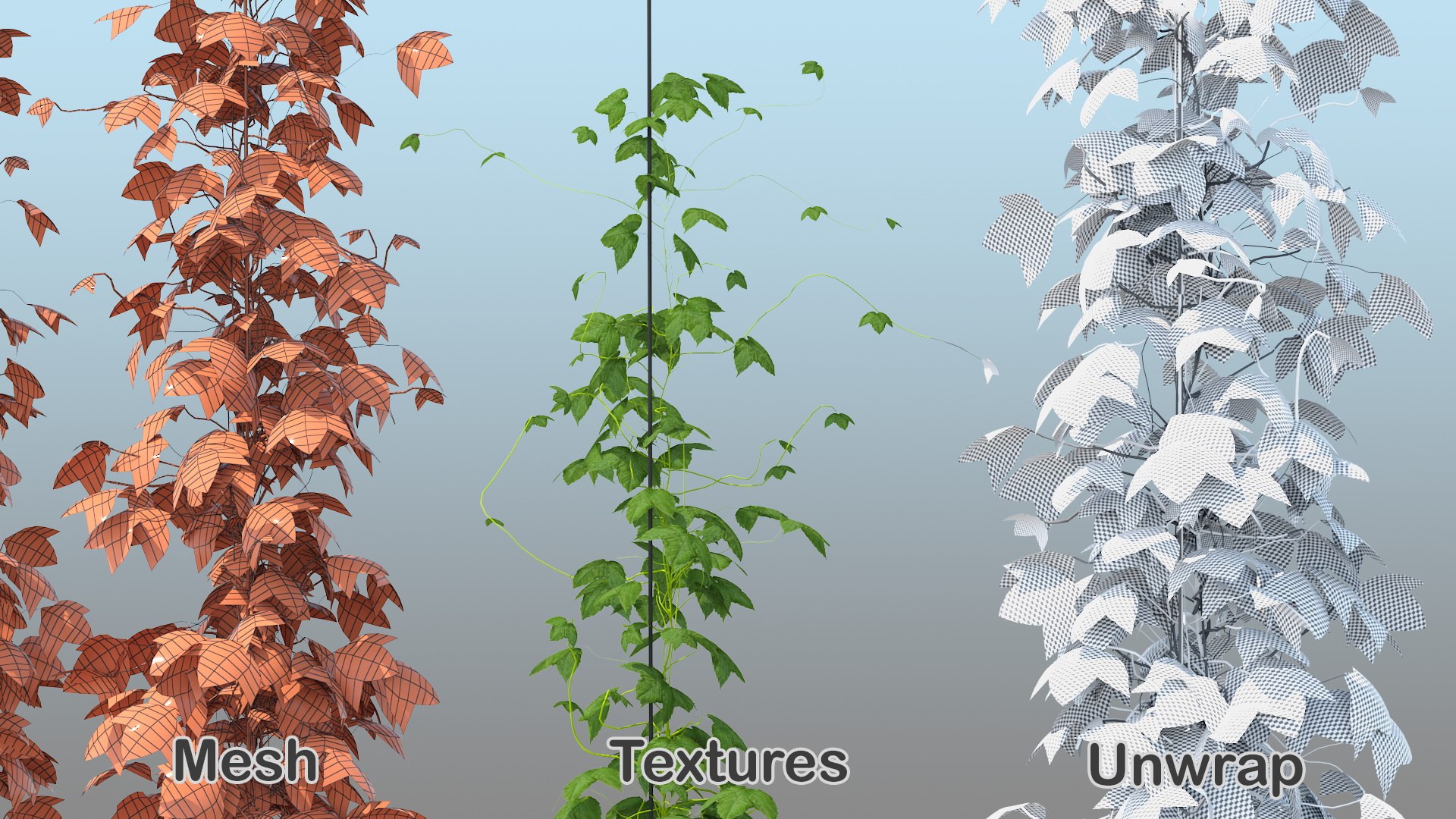 3D Growing Green Hops Plantation - TurboSquid 1442842