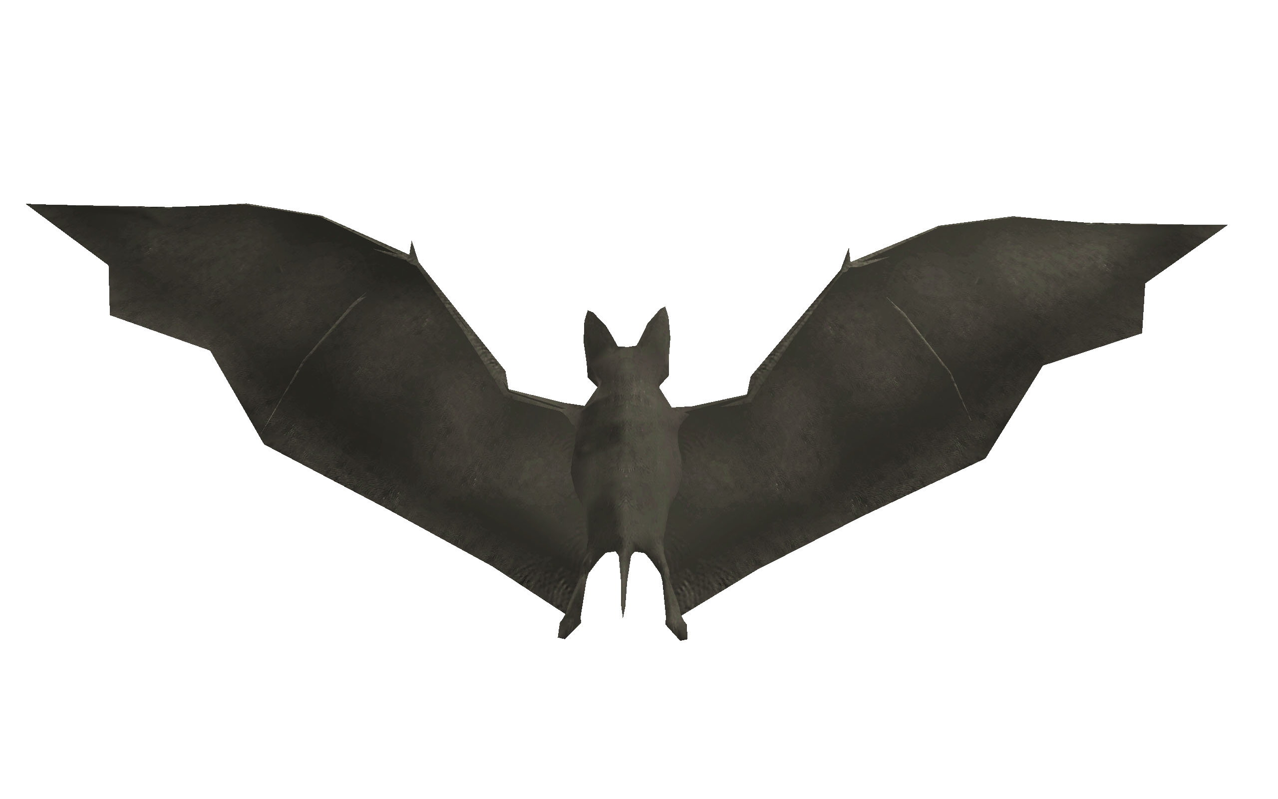 Bat vampire animations 3D - TurboSquid 1653278