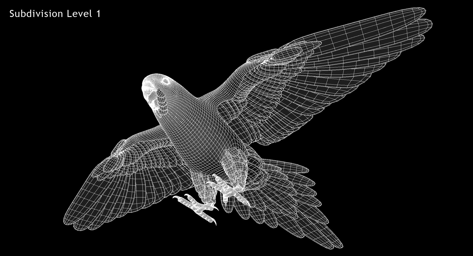 melopsittacus undulatus budgerigar yellow 3d obj