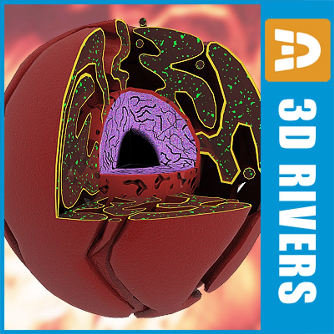 Endoplasmic Reticulum Max