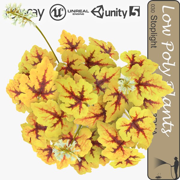 Free 3D Petal Models | TurboSquid