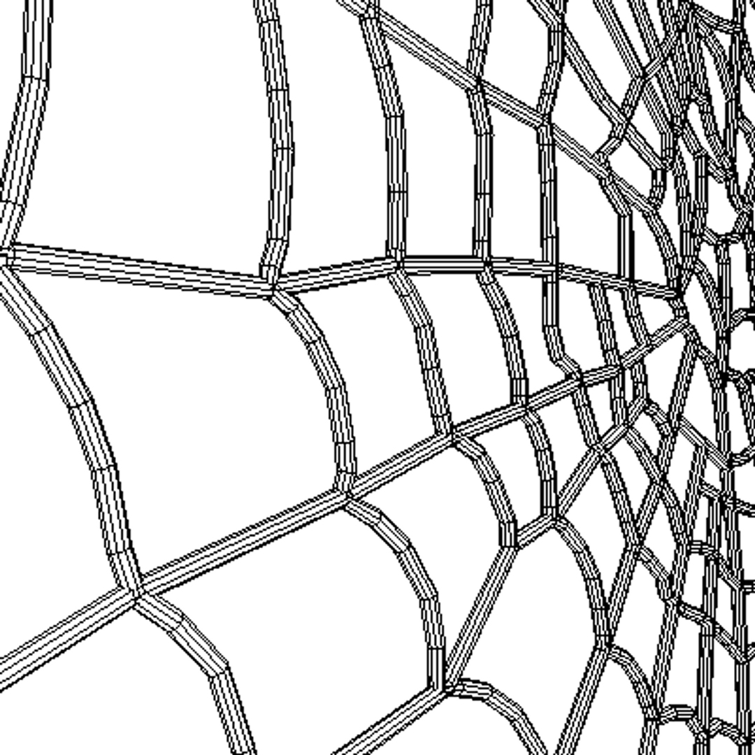 spider web 3d model