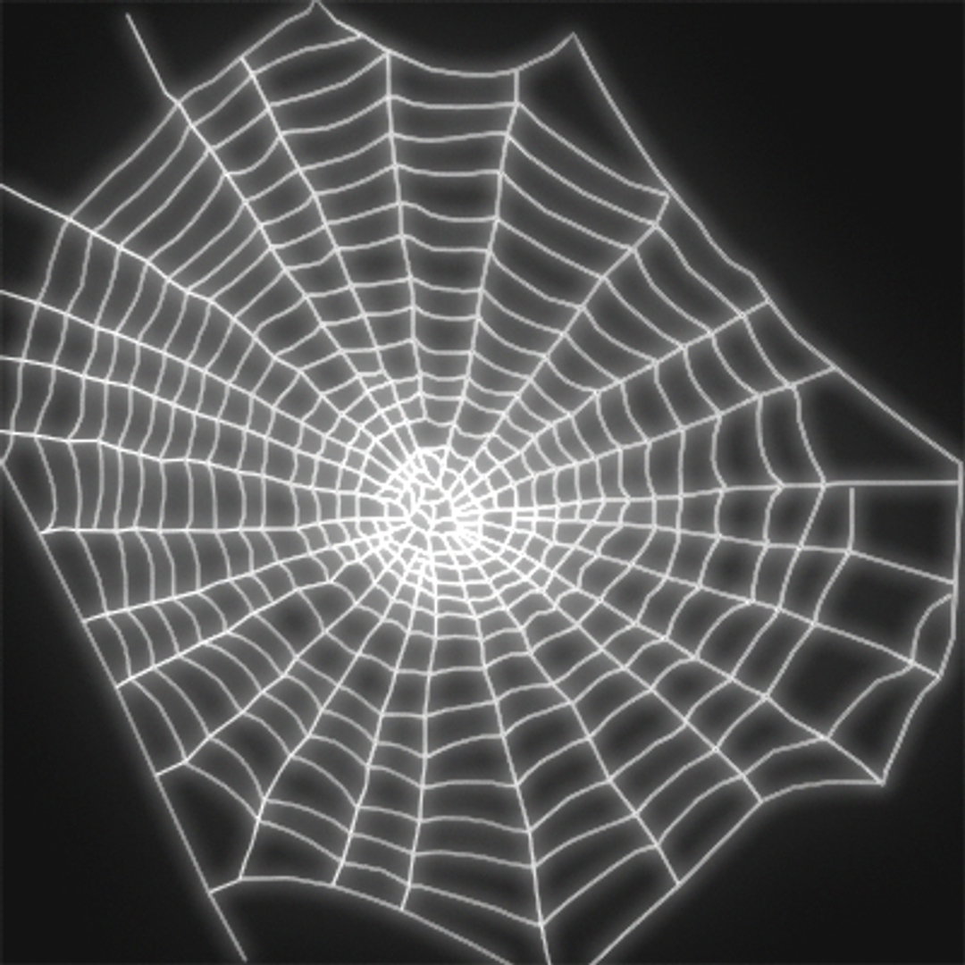 spider web 3d model