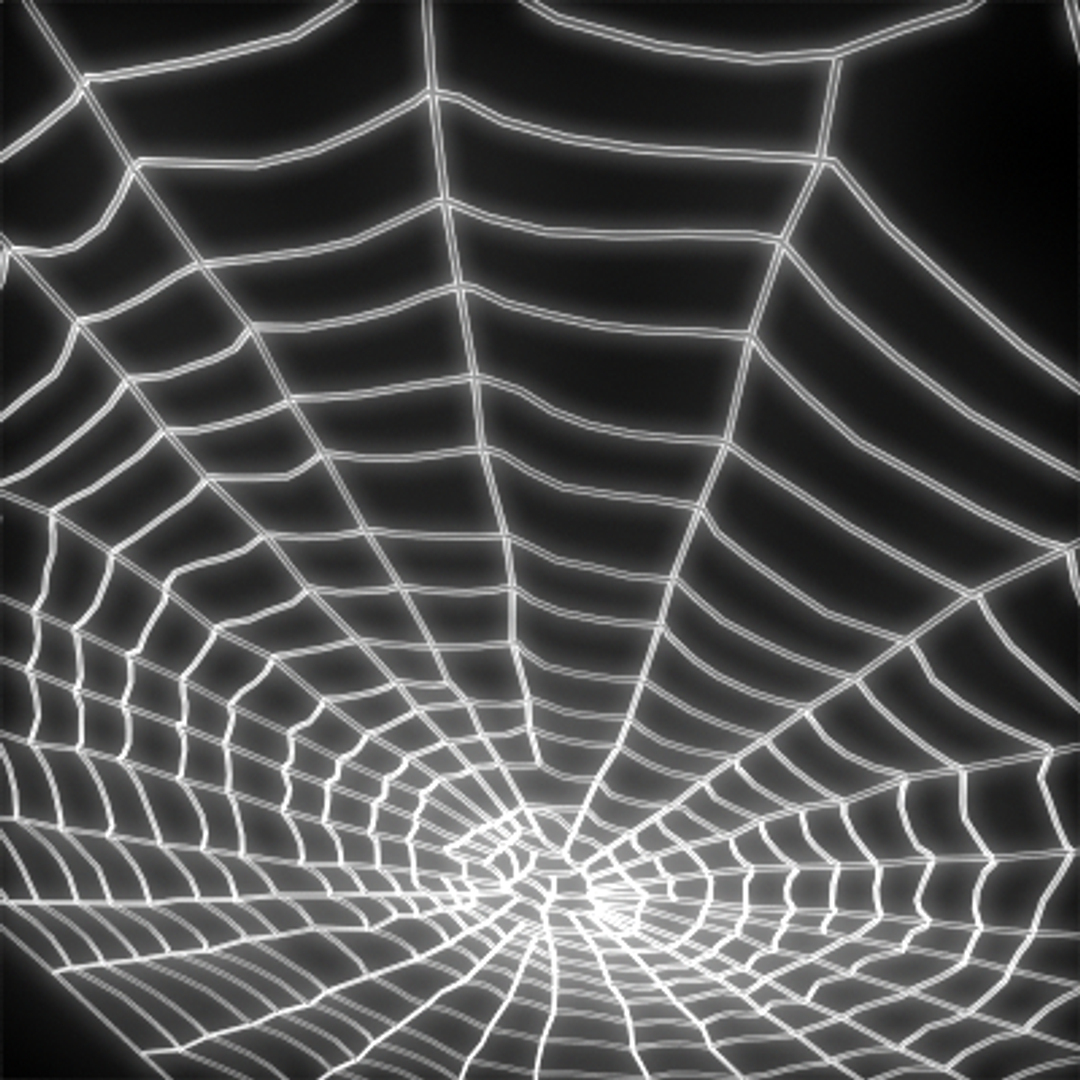 spider web 3d model