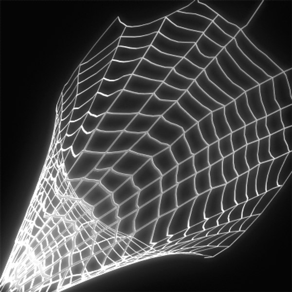 spider web 3d model