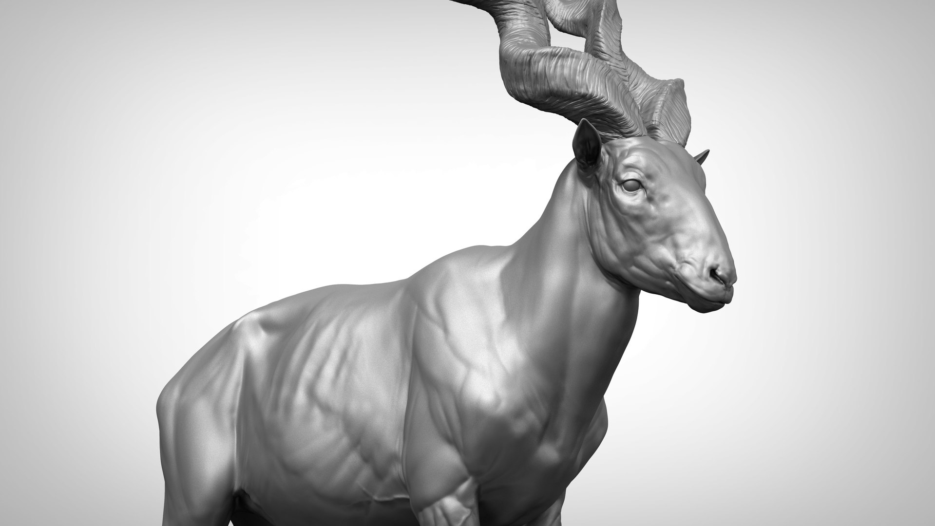 3D Markhor Capra Falconeri - TurboSquid 1640484