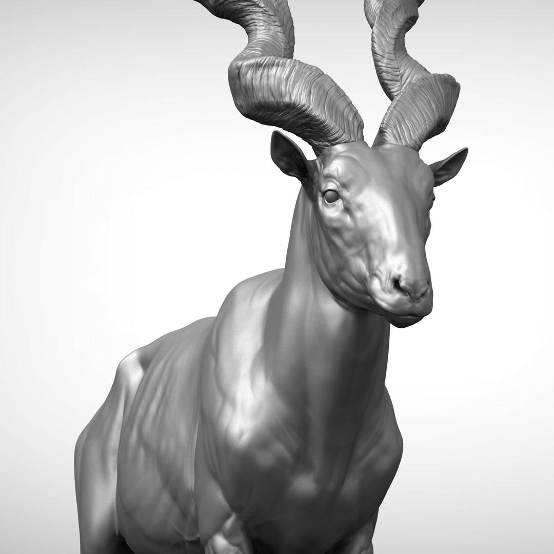 3D Markhor Capra Falconeri - TurboSquid 1640484