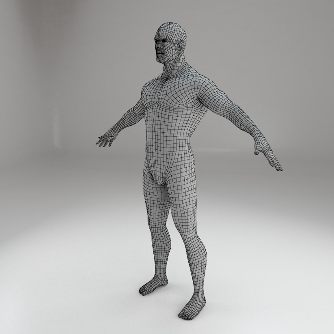 3d Male Human Body