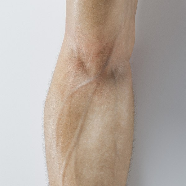 팔 해부학 3D 모델 - TurboSquid 1945725