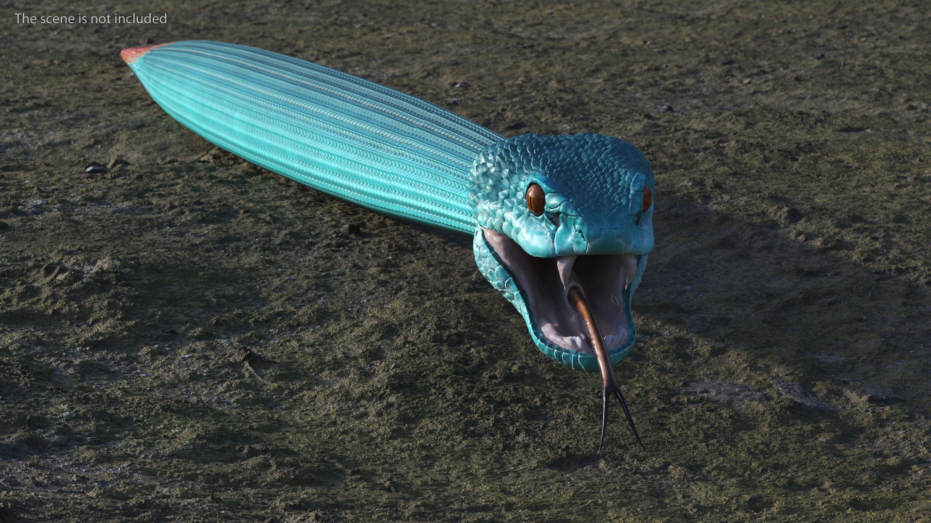 Blue Trimeresurus Snake Model - TurboSquid 2106146