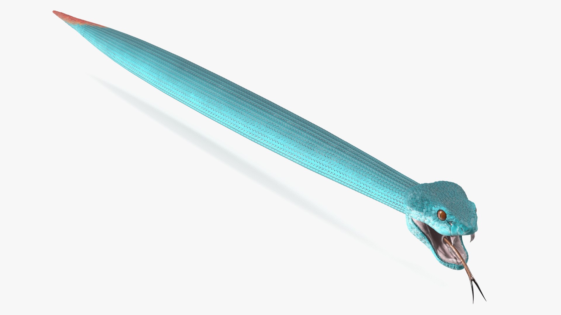 Blue Trimeresurus Snake model - TurboSquid 2106146