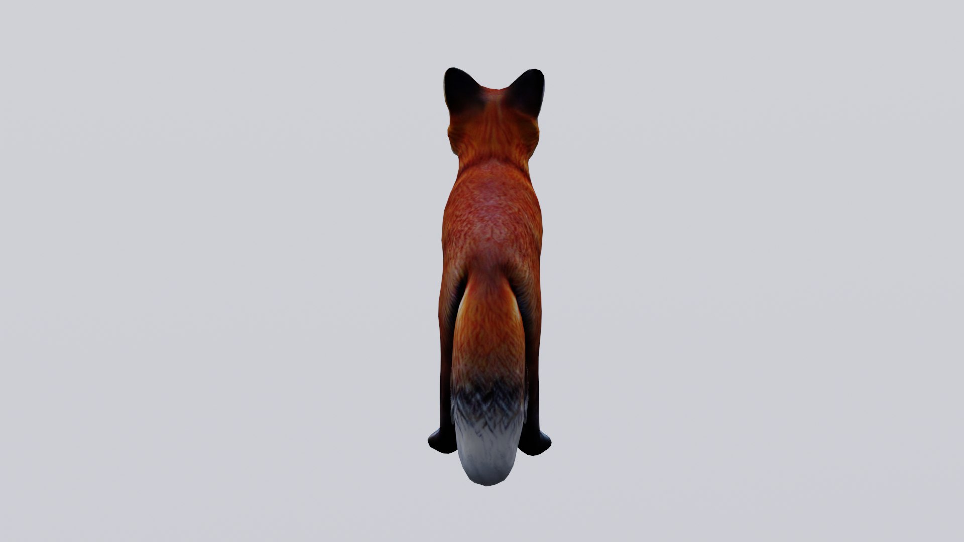 Realistic Fox Low Poly 3D - TurboSquid 2261180