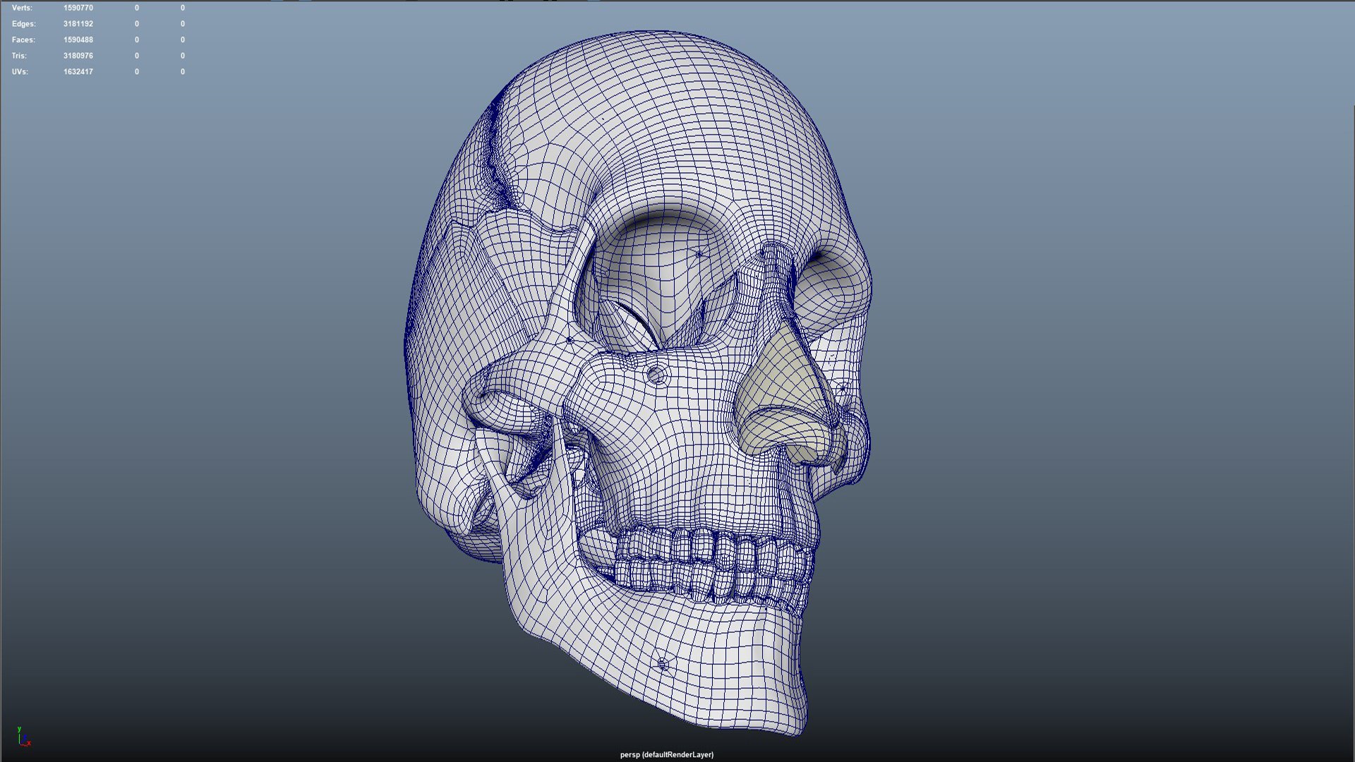 Human Skull Anatomy Model - TurboSquid 1875494