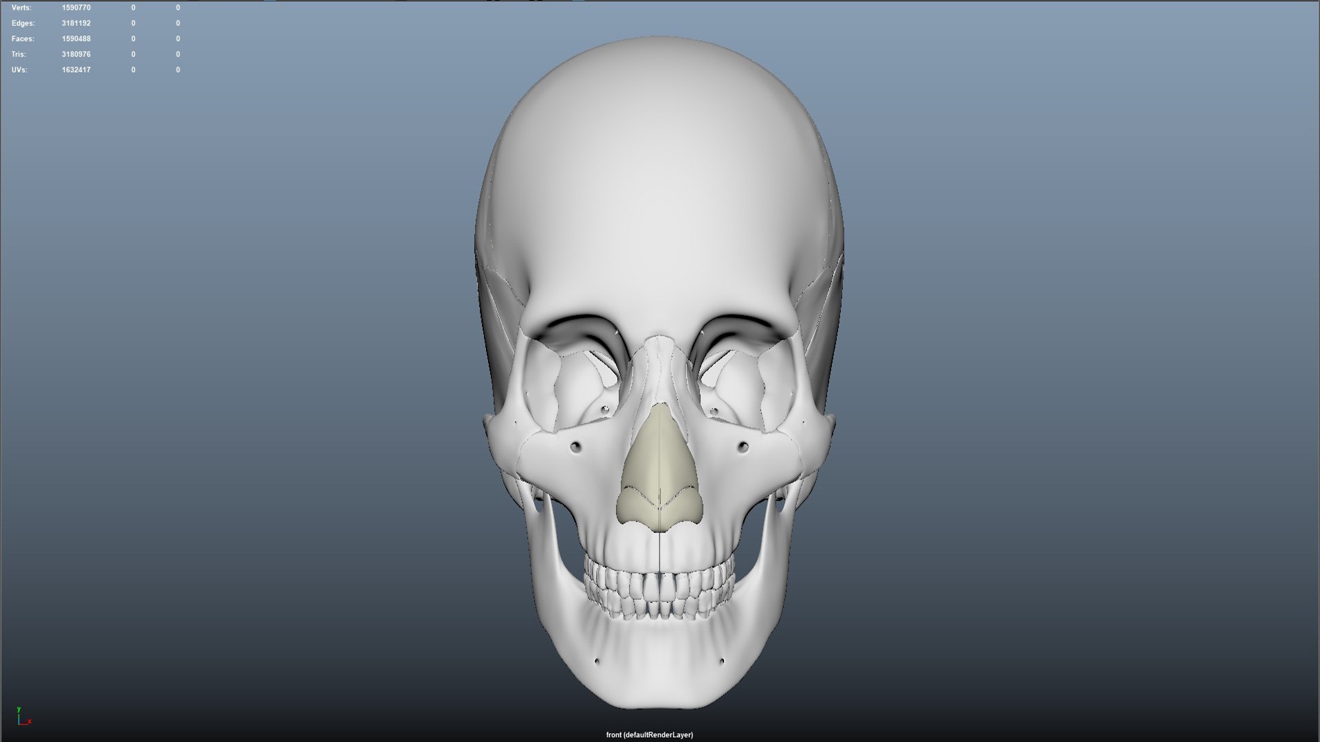 Human Skull Anatomy Model - TurboSquid 1875494