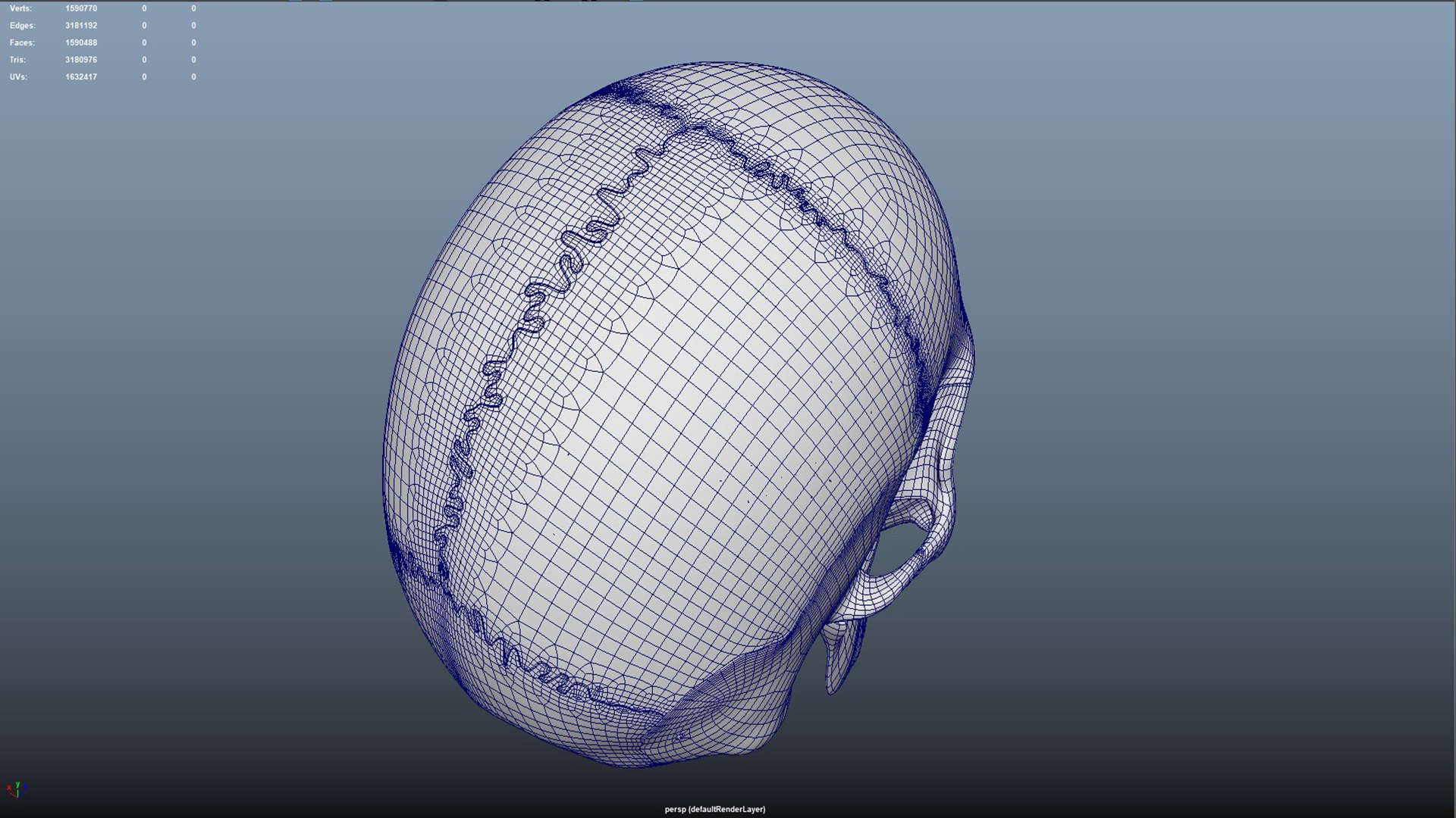 Human Skull Anatomy Model - TurboSquid 1875494