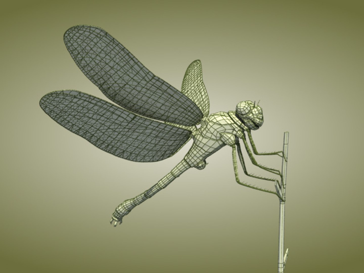 3d dragonfly wings
