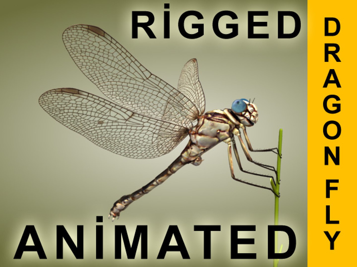 3d dragonfly wings