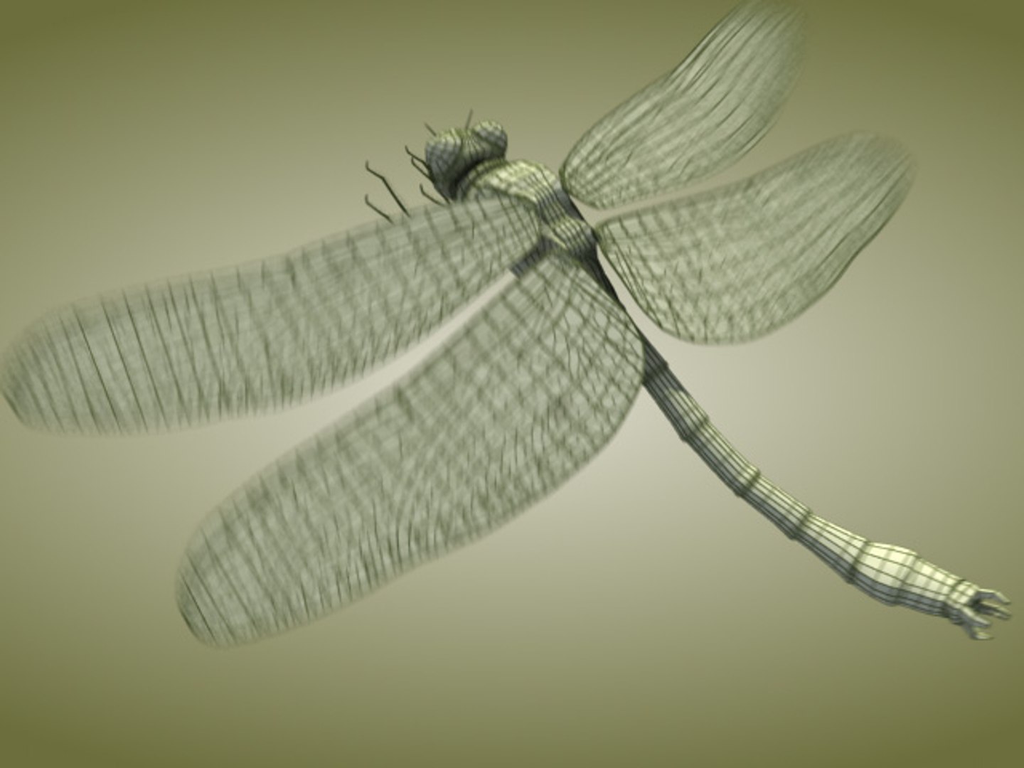 3d dragonfly wings